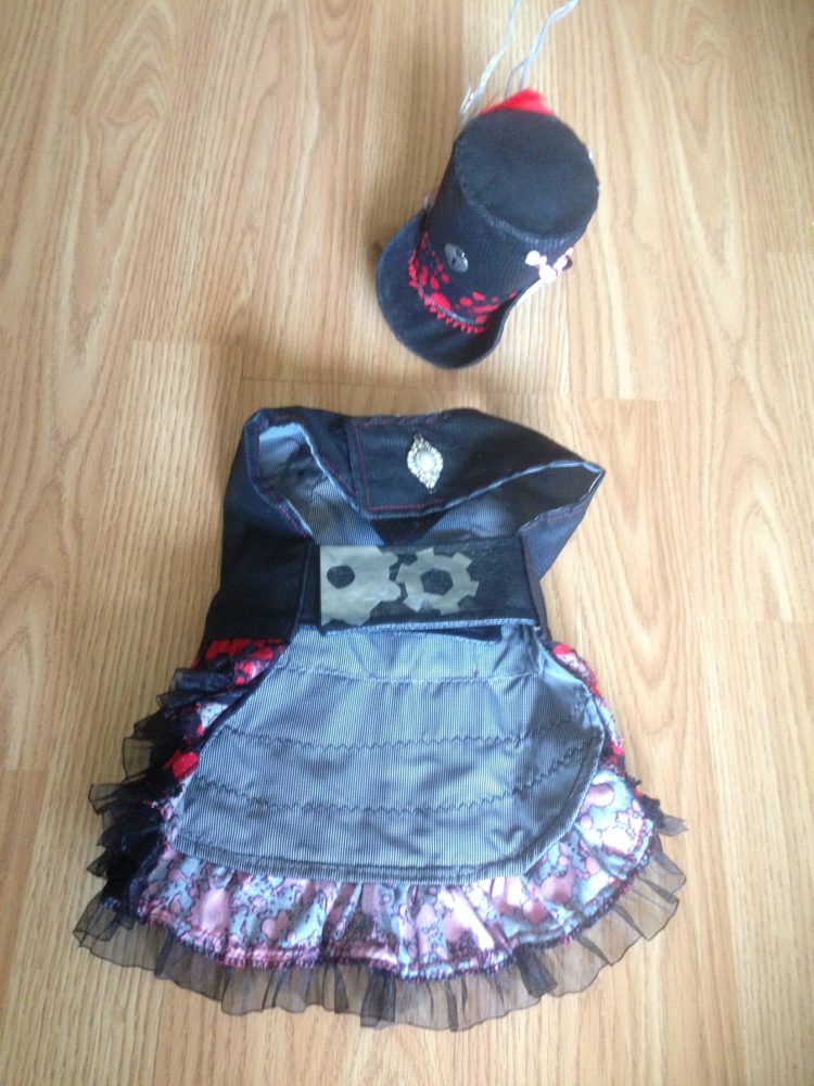 Gothic Steampunk Dog Dress