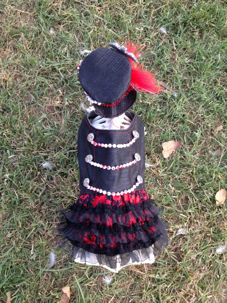 Gothic Steampunk Dog Dress
